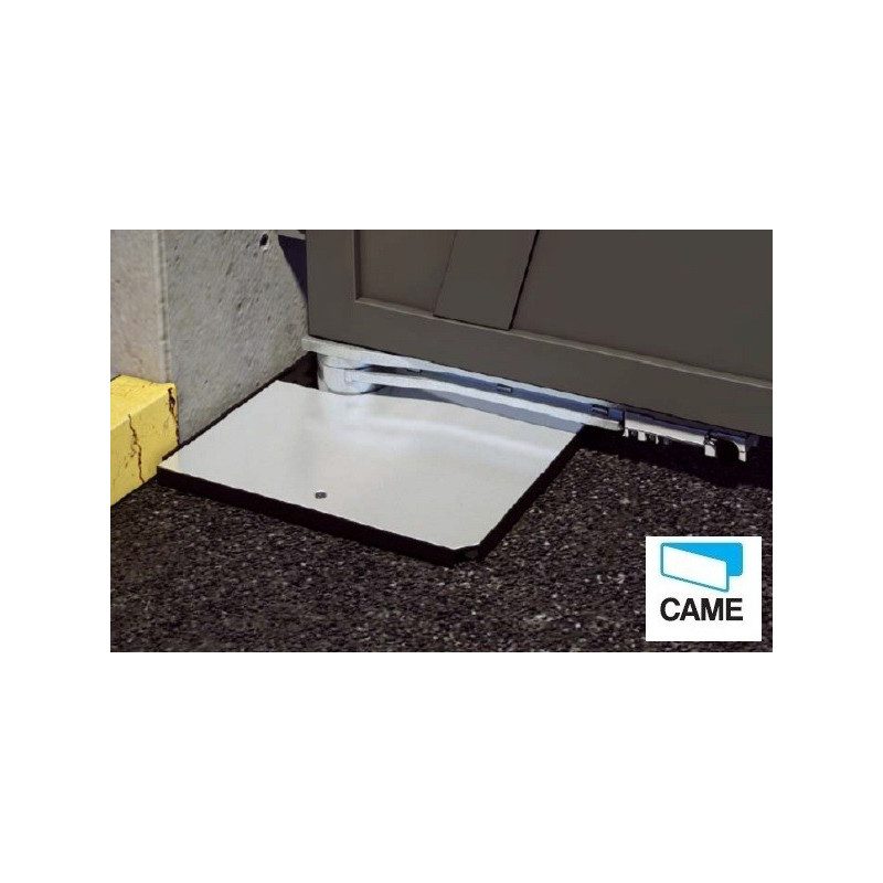 Motorisation Came Frog Plus 001FROG-PM6 - Portail battant