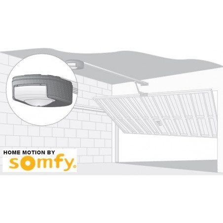 Pack chaîne Dexxo pro Somfy 800 3S RTS - Porte de garage